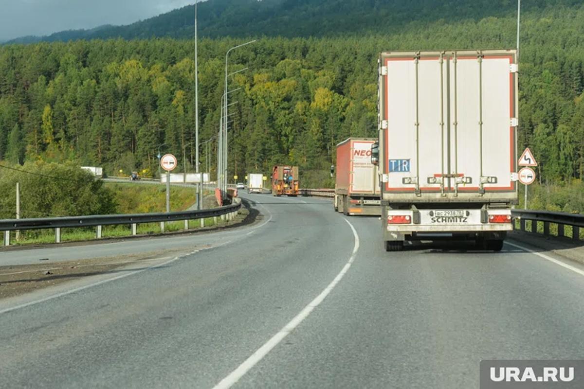 В Курганской области задержали 60 тонн куриных лапок из Казахстана - RuNews24.ru - 08.09.2025