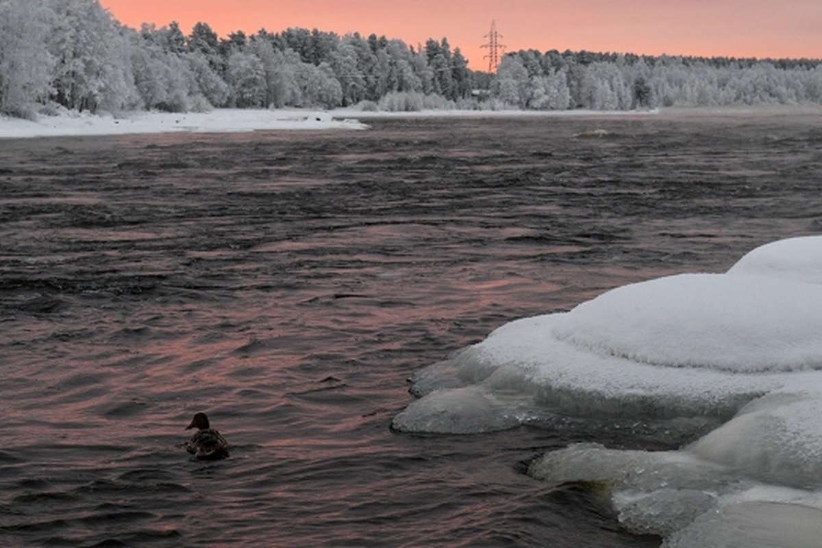 Россия отменяет 50-летний договор с Финляндией о совместном использовании реки Вуокса - RuNews24 ...